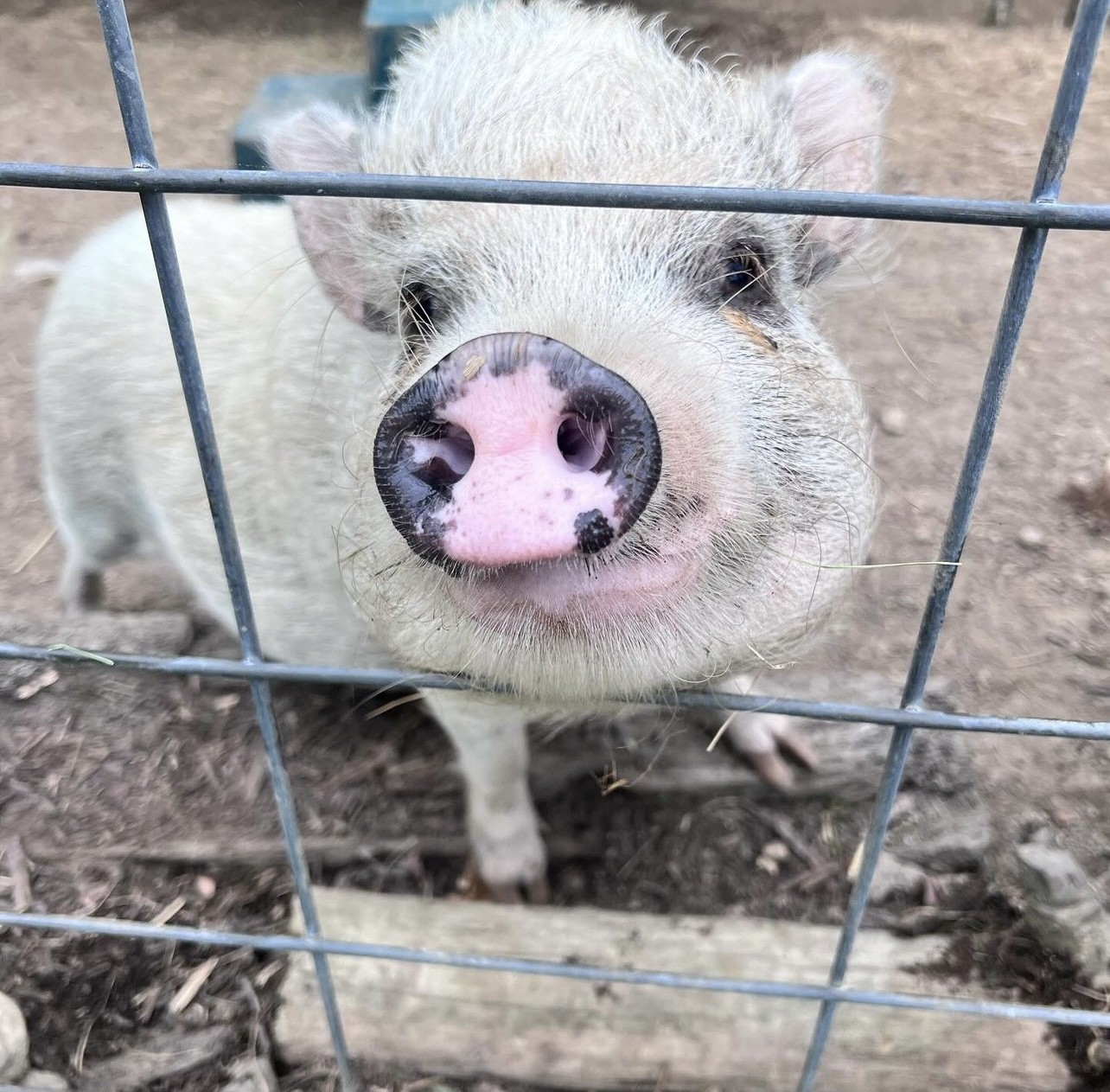 Project Farm - Project Kompass